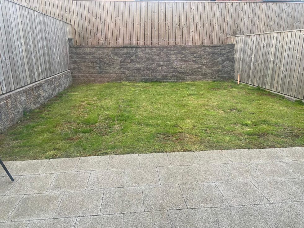 Artificial Grass Belfast Northern Ireland Direct From Stock Fake Grass Ni